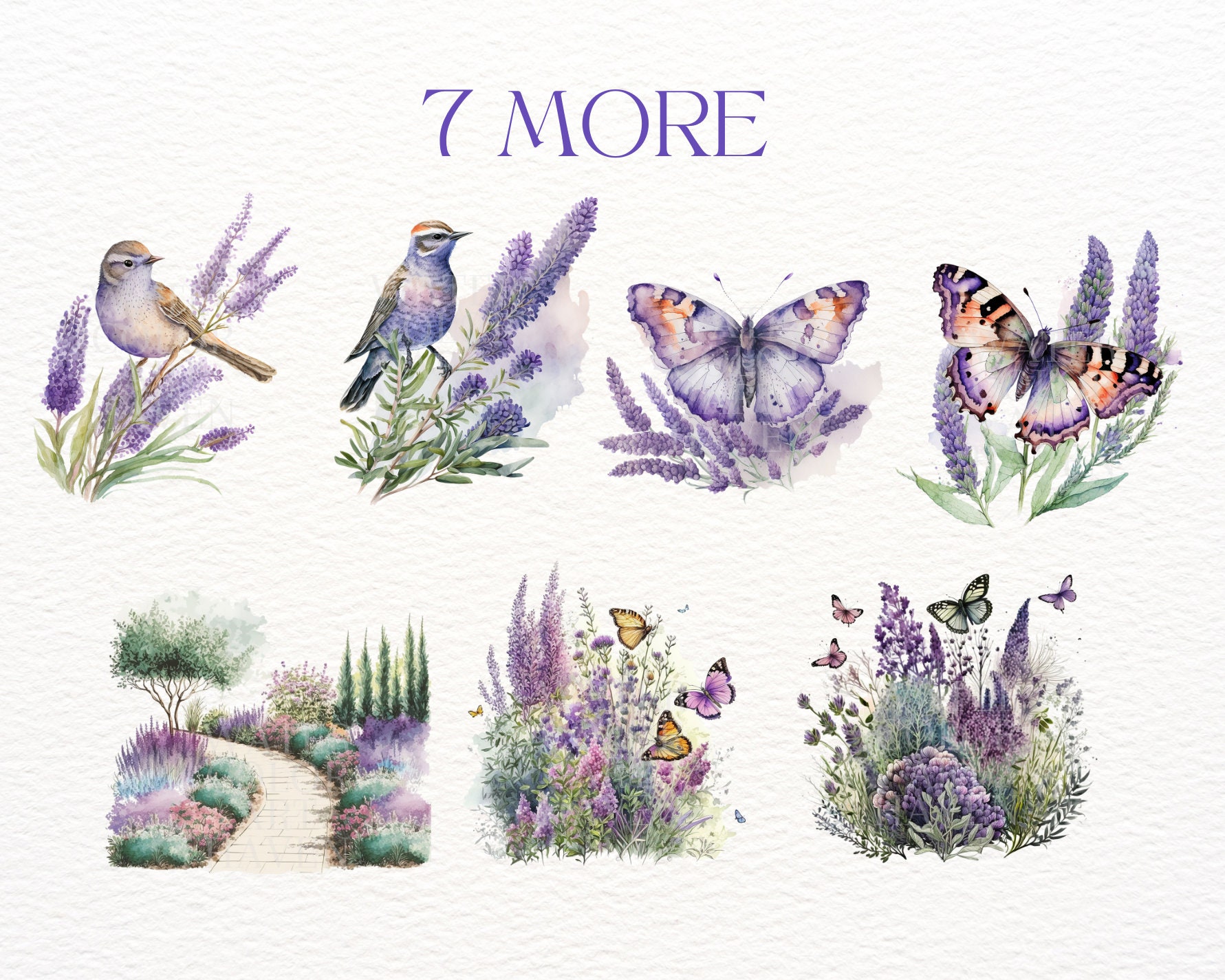 Watercolor Lavender Garden Clipart, Watercolor Lavender PNG, Lavender ...