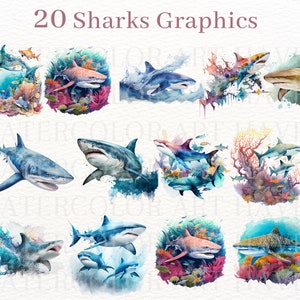 Watercolor Clipart Bundle for Undersea Creatures Jellyfish Sharks ...