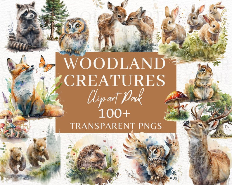 Woodland Animals Clipart Watercolor, Clipart for Commercial Use ...