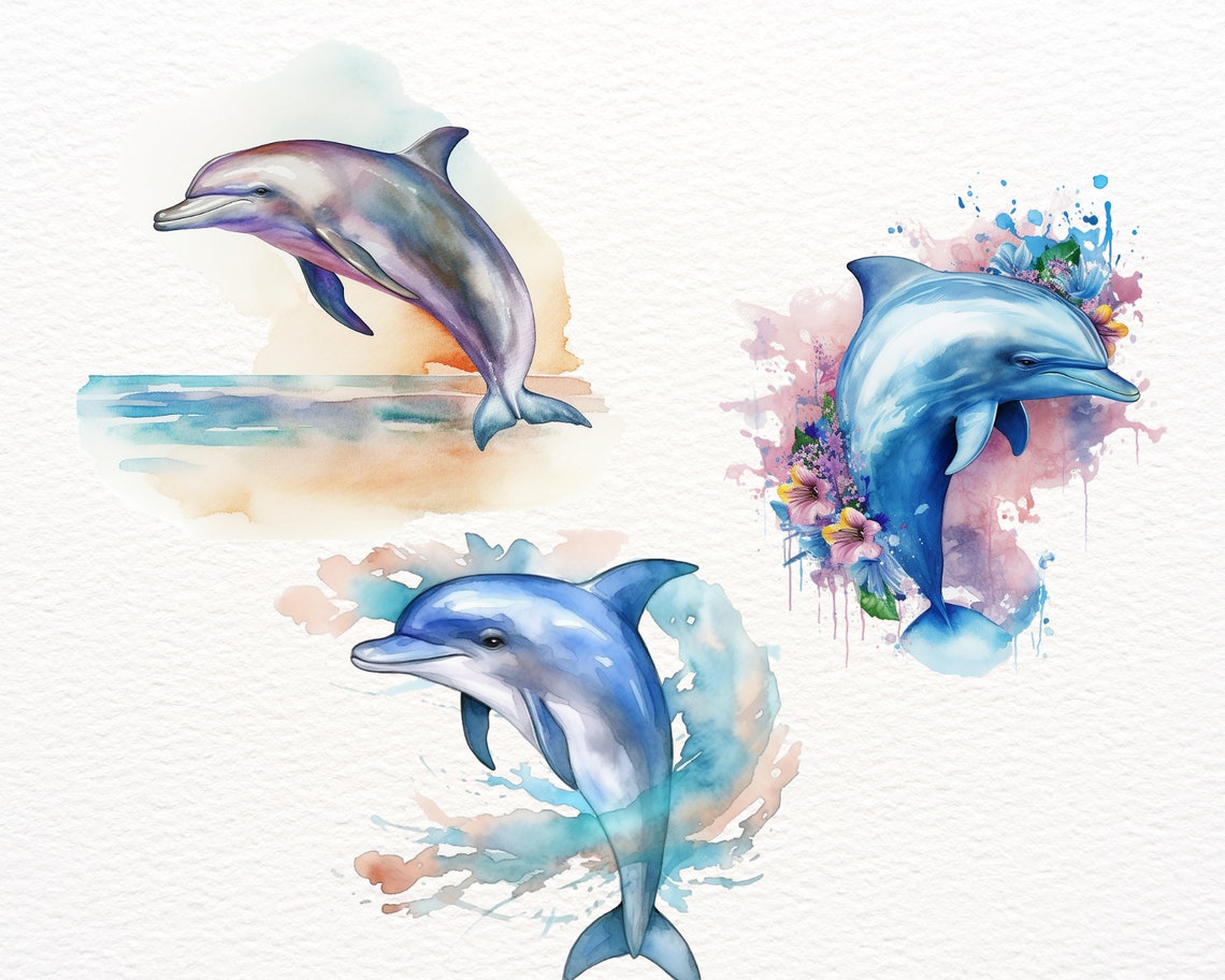 20 Piece Watercolor Dolphin Clipart Set design Bundle PNG Digital ...