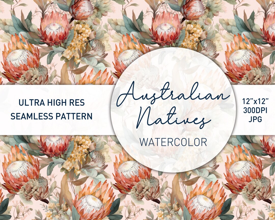 Australian Native Floral Watercolor Seamless Pattern 4 - Banksia ...
