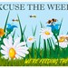 BEE SIGN for Garden - Excuse the Weeds We Are Feeding the Bees A4 or A5 ...