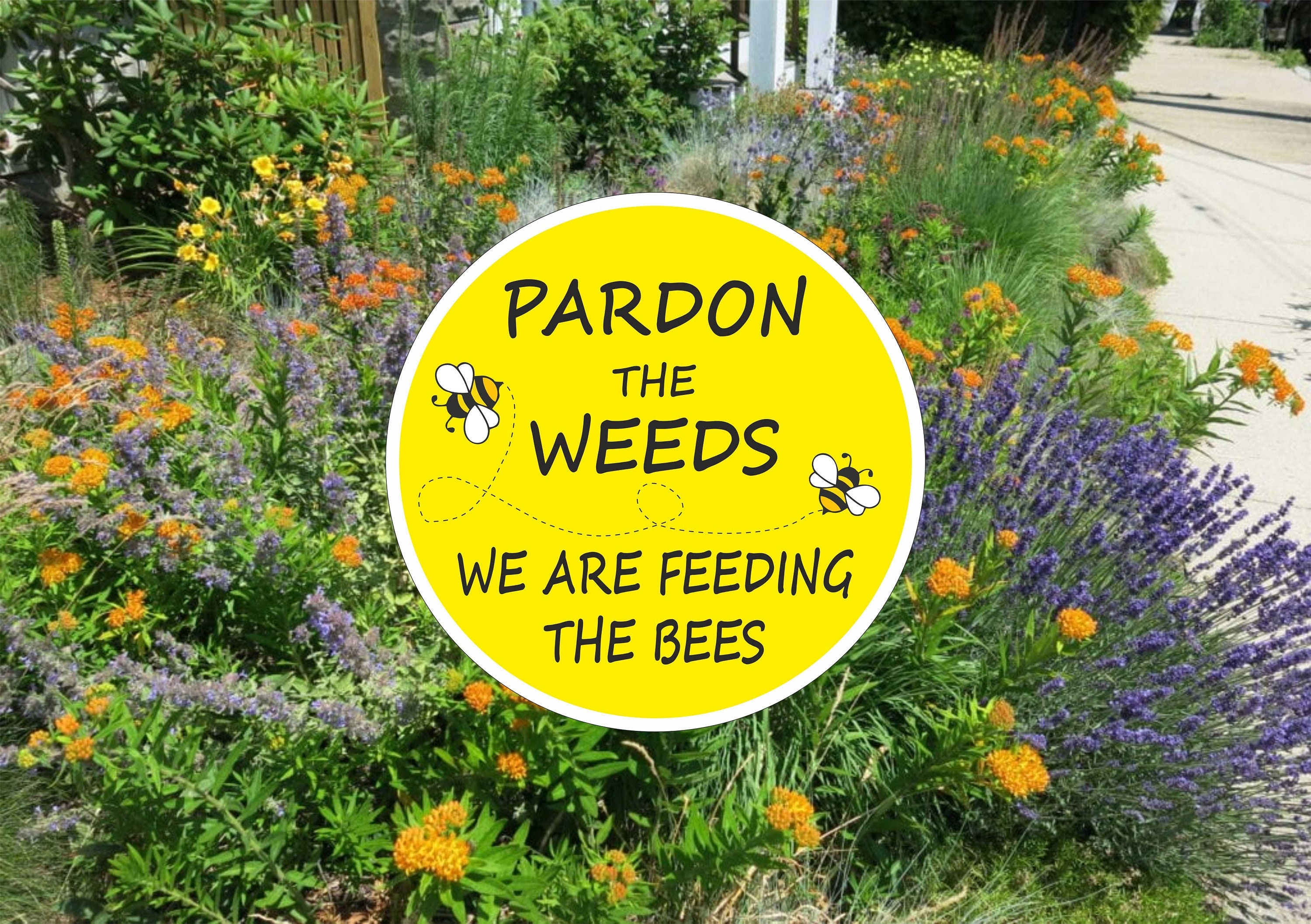 BEE SIGN for Garden Pardon the Weeds We Are Feeding the Bees 200mm ...