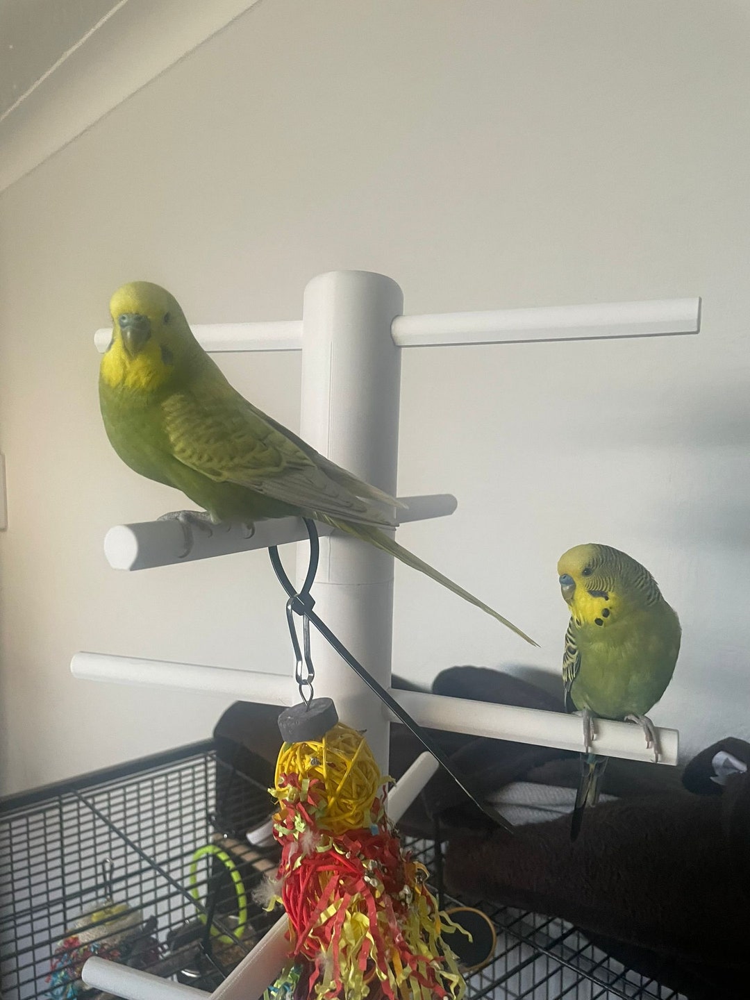Budgies Budgerigar Parrot Play Stand Climbing Tree 3D Print STL File - Etsy
