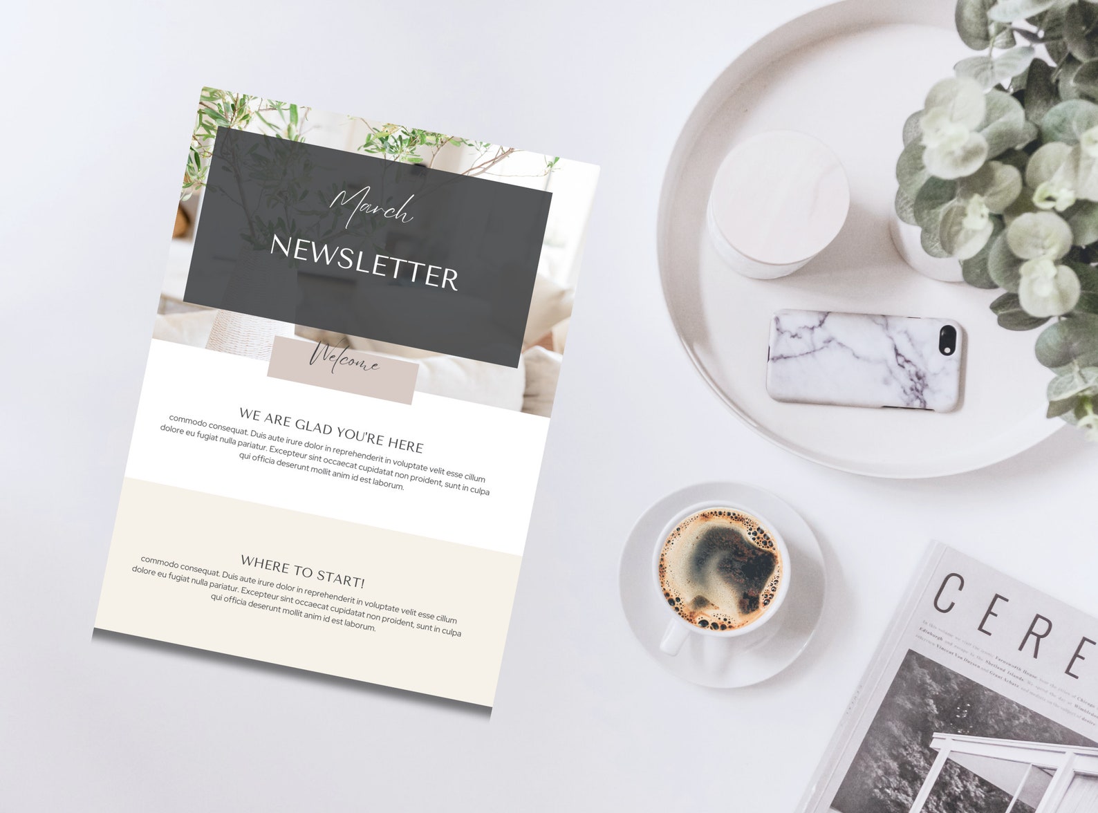Small Business Newsletter Template, Canva Template, Fully Editable ...