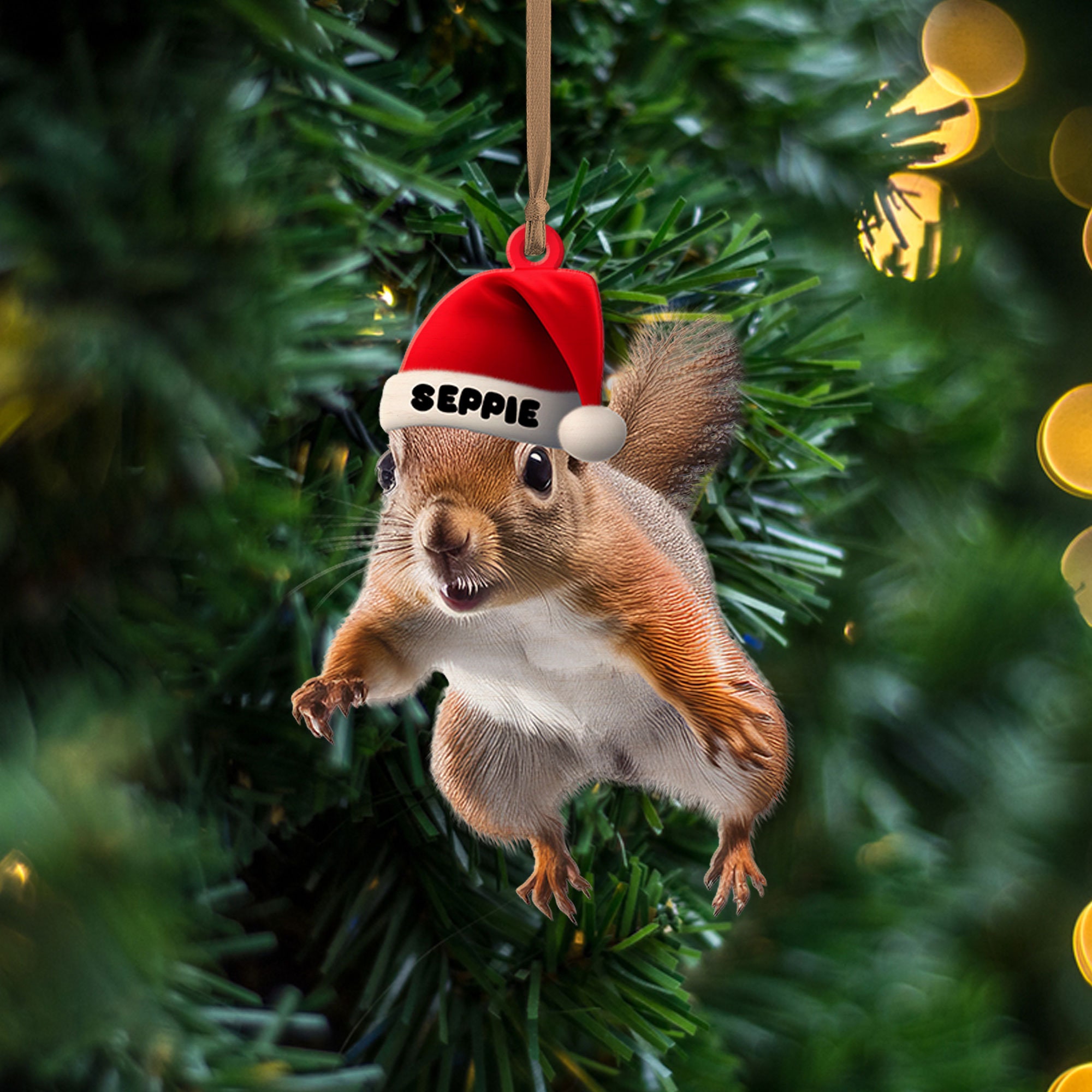 Personalized CHRISTMAS VACATION SQUIRREL Flat Transparent Ornament ...
