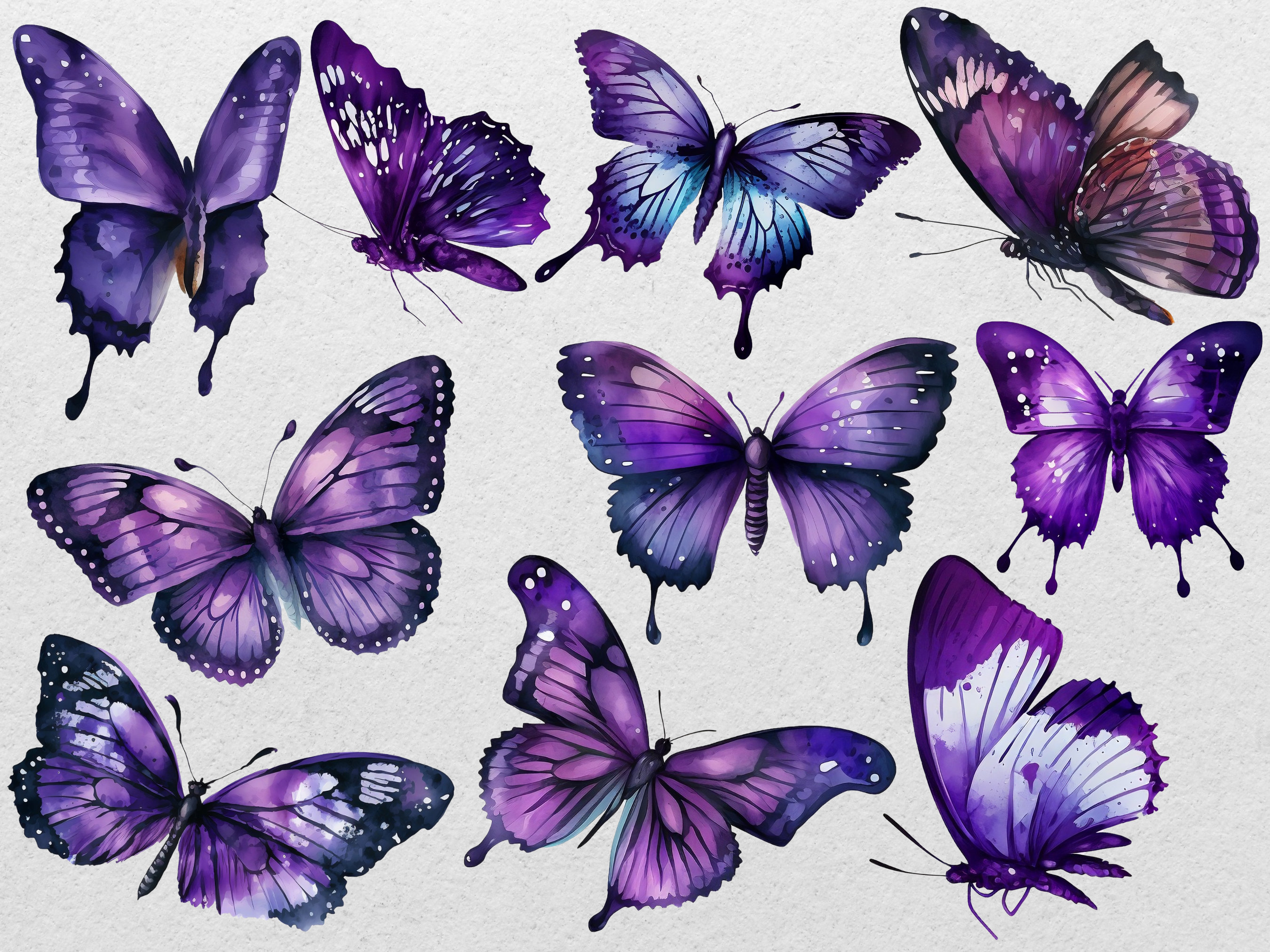 Purple Butterflies Drawings