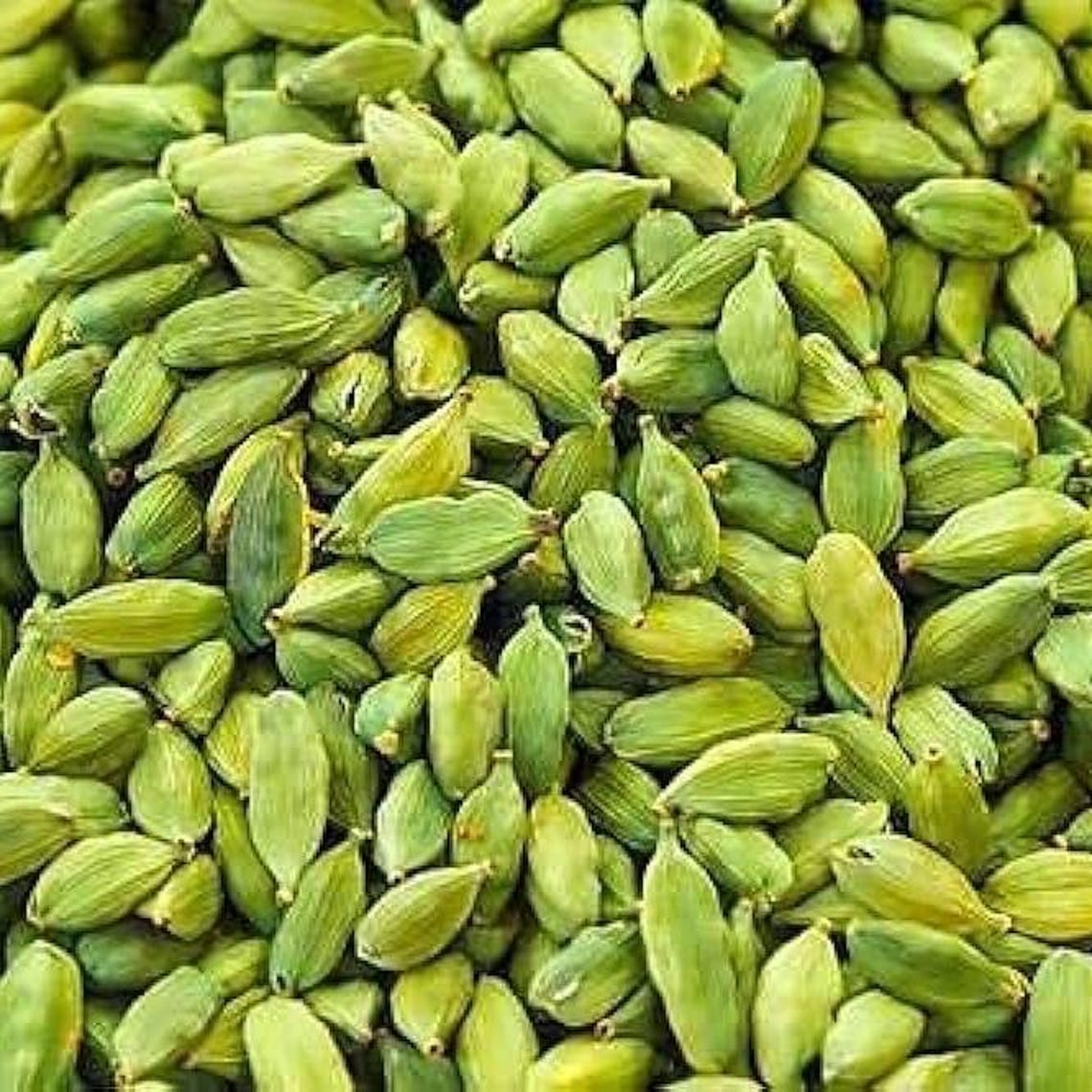 Gunvika Whole Green Cardamom (elaichi) Hari Elaichi | Fresh and ...