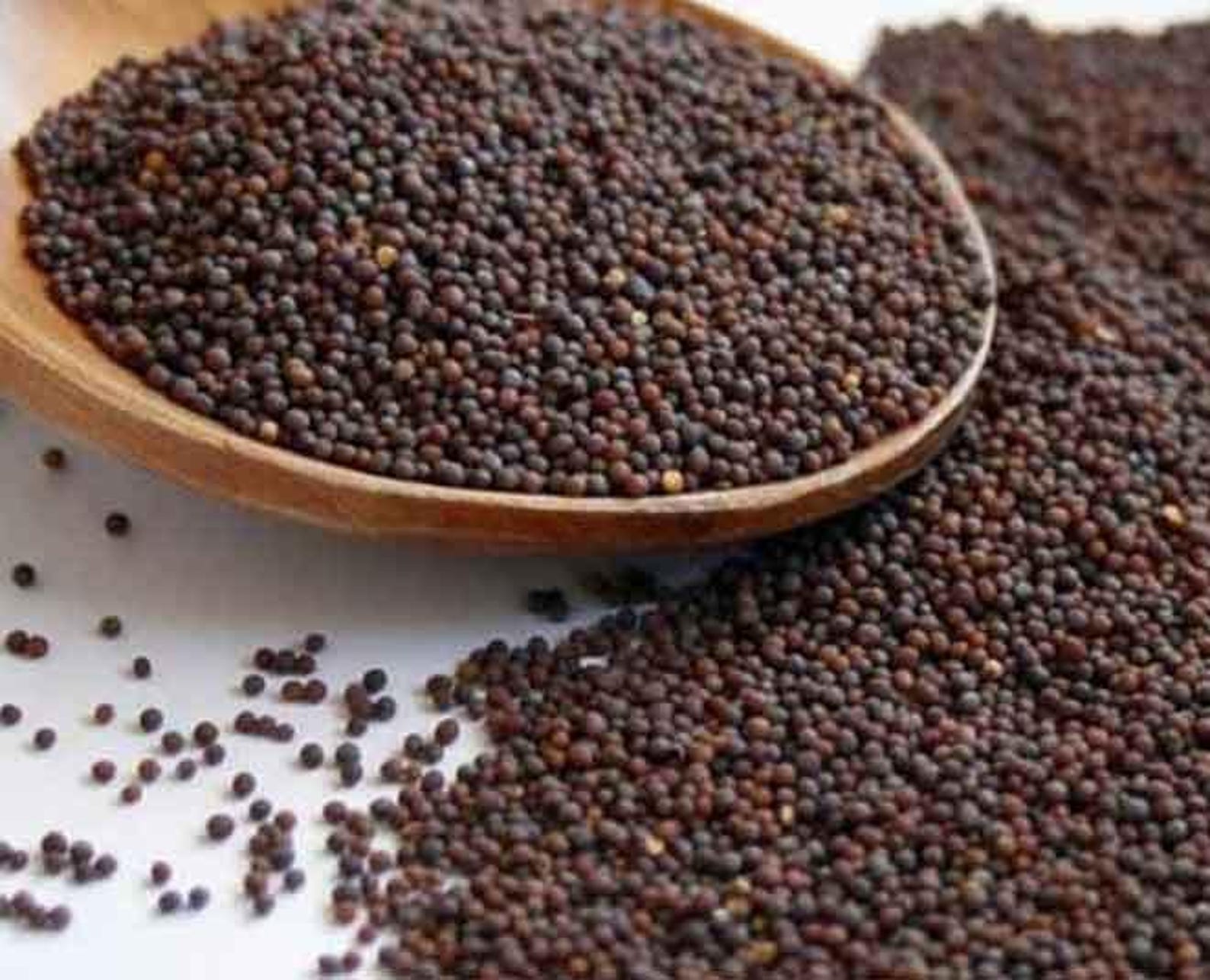 Gunvika Whole Raw Rai Small | Choti Rai | Red Mustard Seeds | Brown ...