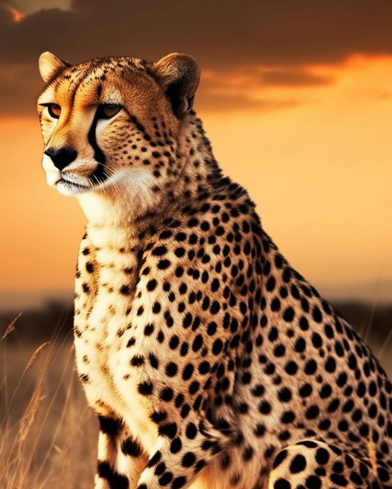 Cheetah Poster - Etsy