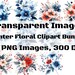 Blue Floral Clipart: Winter Flower PNG Bundle (digital Download) - Etsy