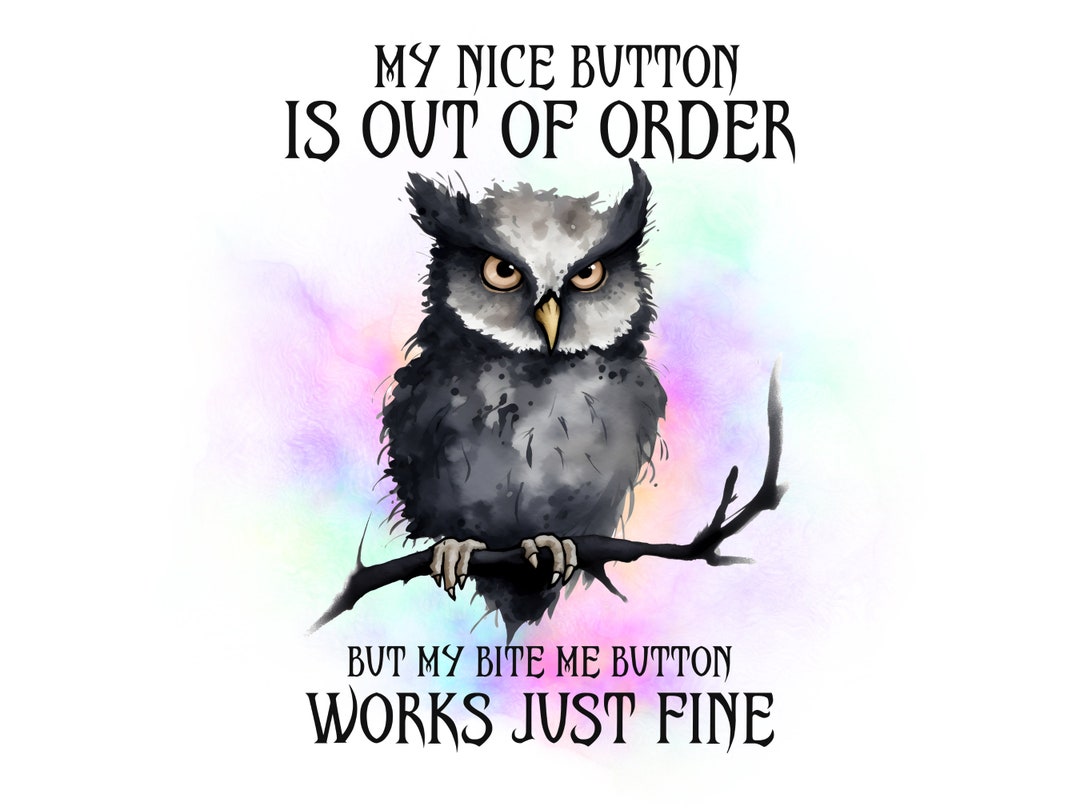 Owl Clipart PNG File Humorous Funny Direct Print Sublimation - Etsy