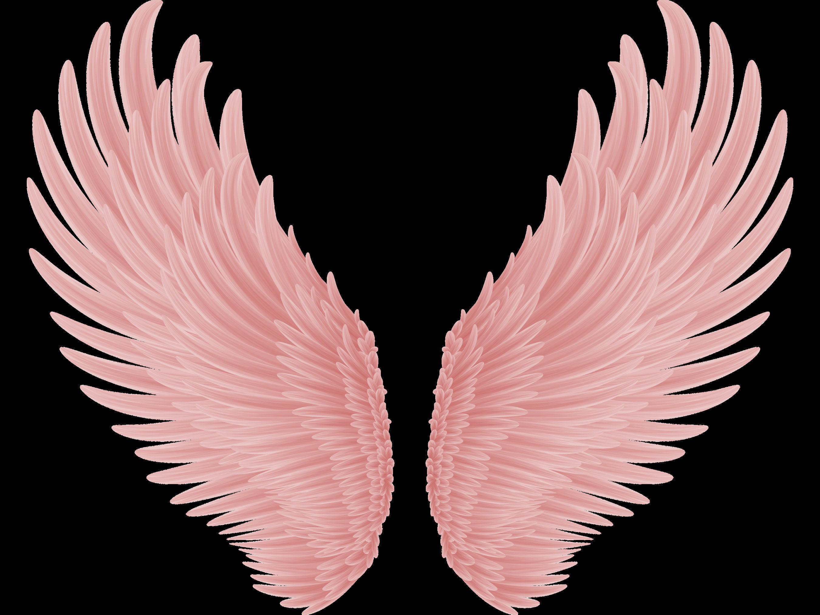 Pretty Pink Angel Wings PNG Transparent Sublimation Digital Files - Etsy