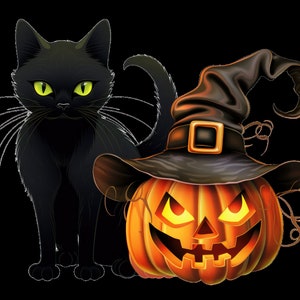 Black Cat Pumpkin Witches Hat, Halloween Clipart, High Quality Pngs ...
