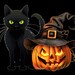 Black Cat Pumpkin Witches Hat, Halloween Clipart, High Quality Pngs ...