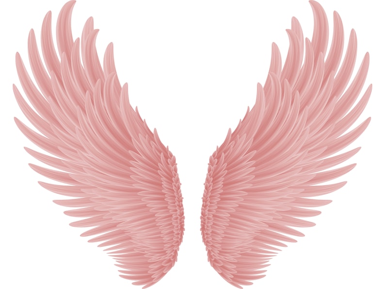 Pretty Pink Angel Wings PNG Transparent Sublimation Digital Files - Etsy