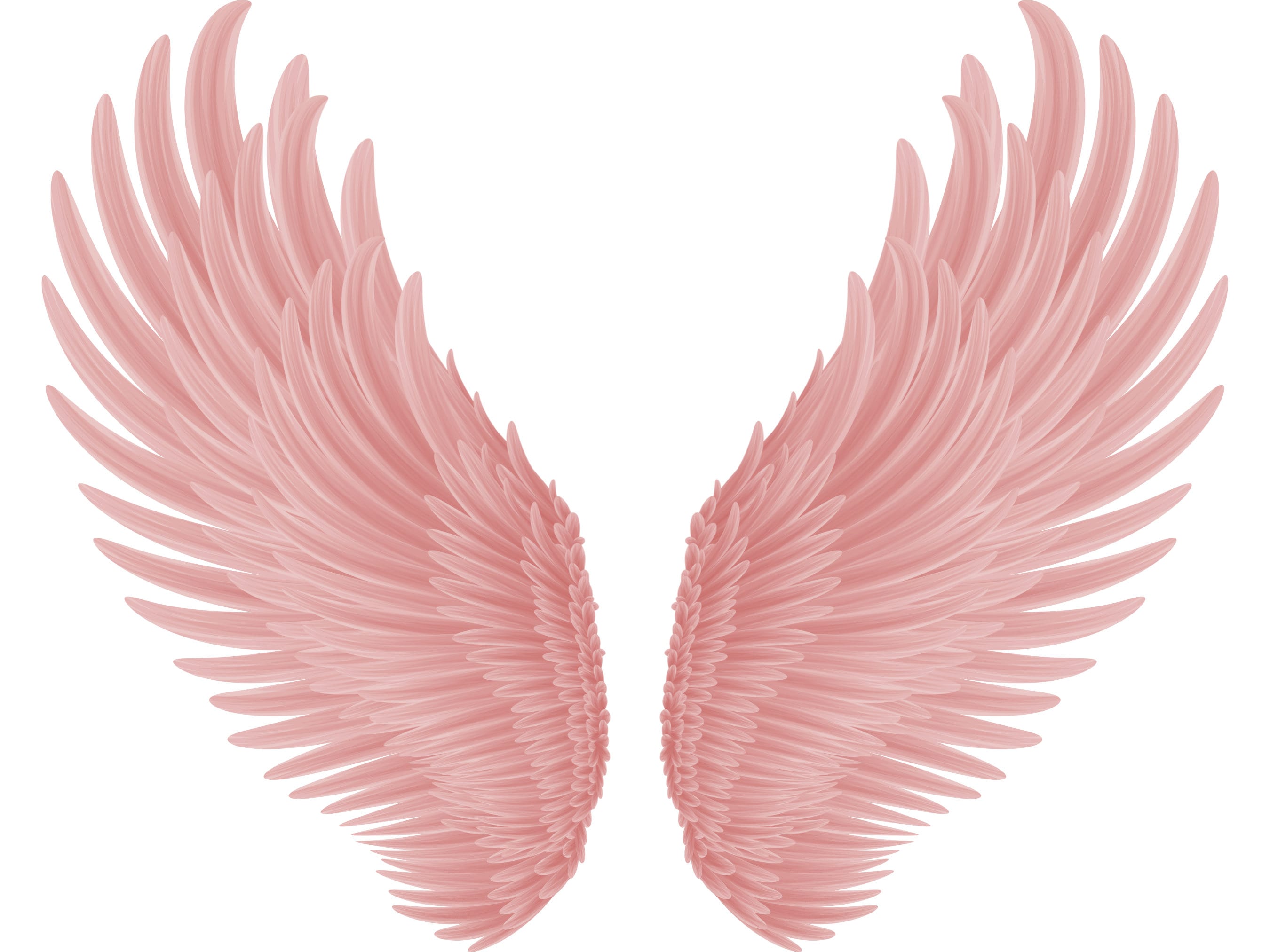 Pretty Pink Angel Wings PNG Transparent Sublimation Digital Files - Etsy
