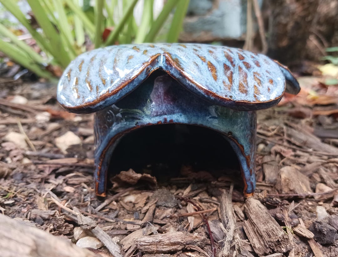 Toad House With Flower Shaped Roof, Ceramic - Etsy