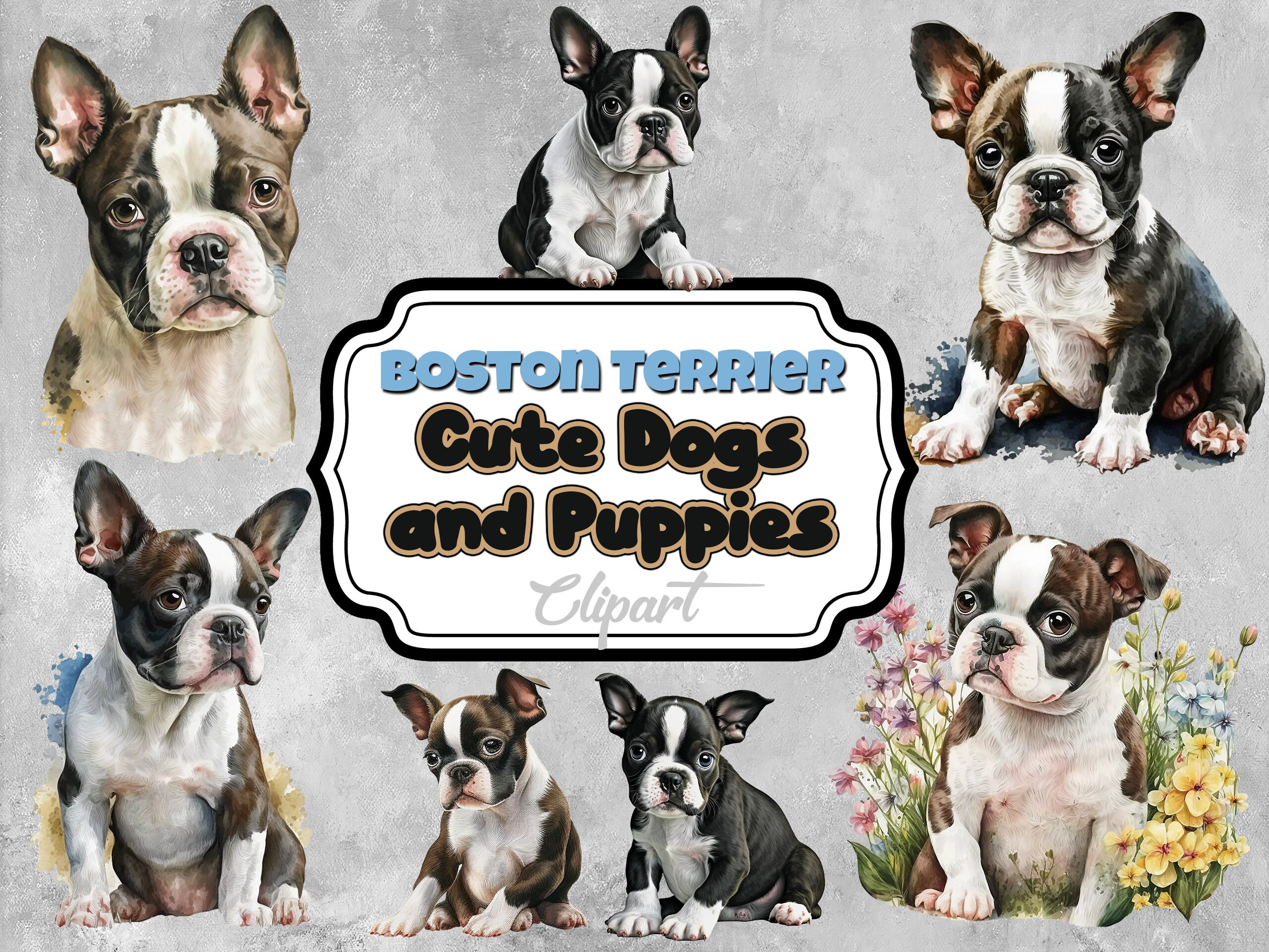 Boston Terrier Clipart - 12 4096x4096 PNG Images - Boston Terrier Clip ...