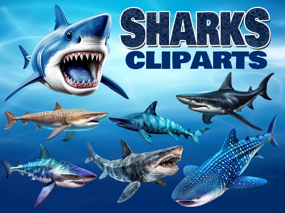 Shark Clipart Pack - 30 300 Dpi PNG Images- Sharks Clipart ,shark ...