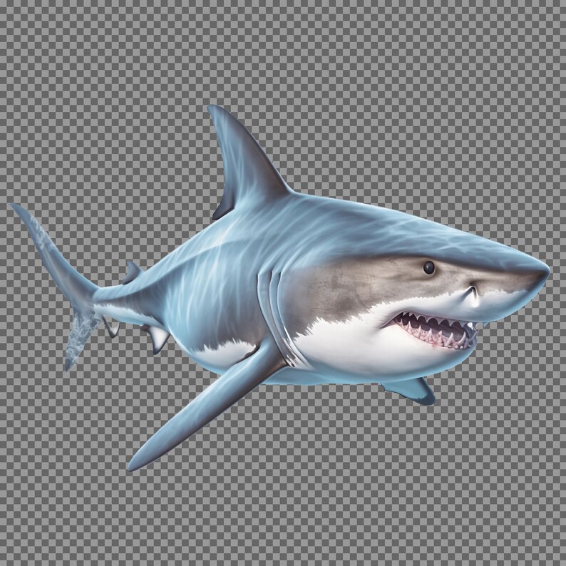 Shark Clipart Pack - 30 300 Dpi PNG Images- Sharks Clipart ,shark ...