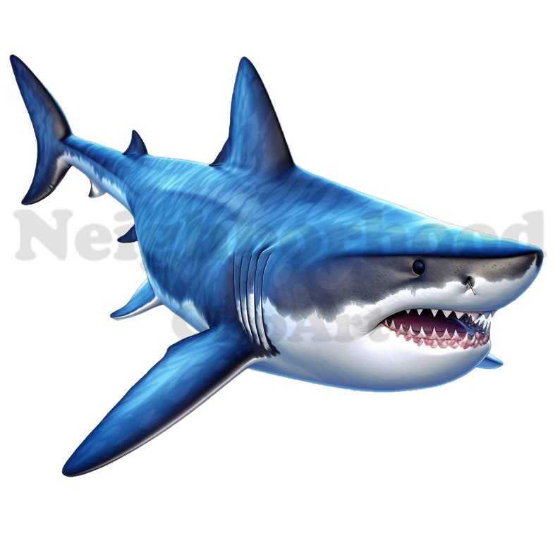 Shark Clipart Pack - 30 300 Dpi PNG Images- Sharks Clipart ,shark ...