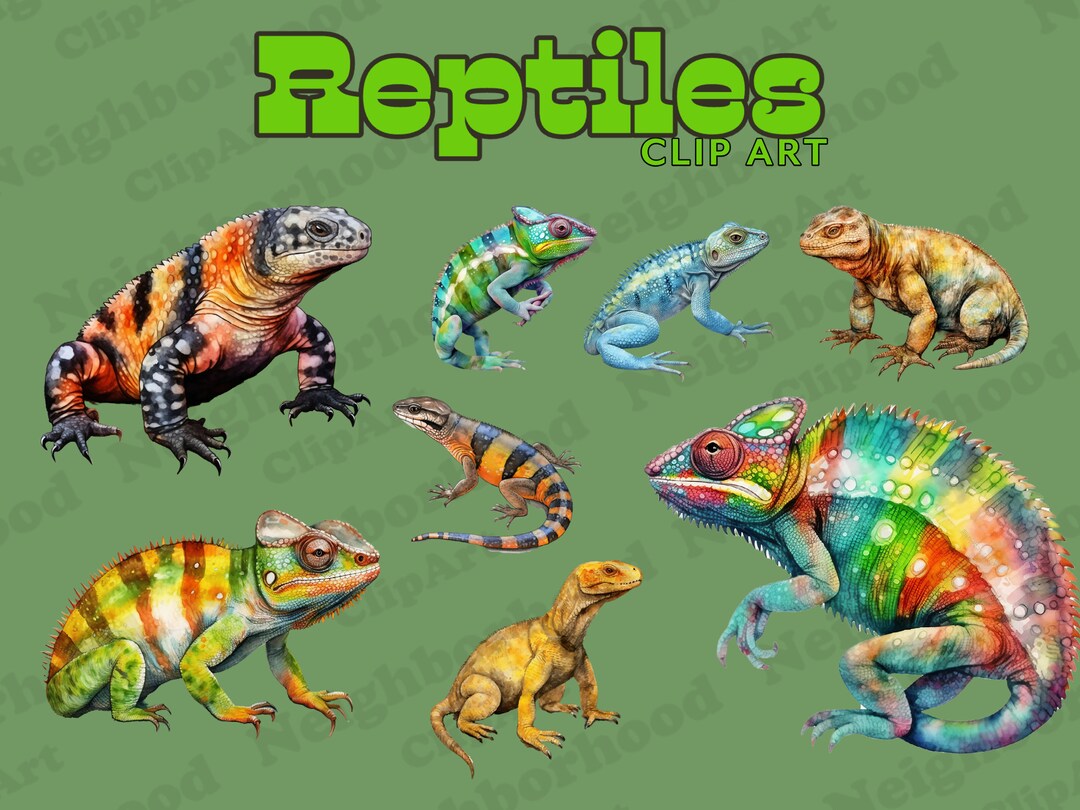 Reptiles Clipart Pack - 17 HD PNG Images 4096x4096 Transparent ...