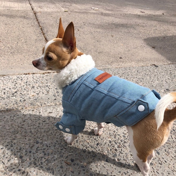 Boy Dog Clothes - Etsy