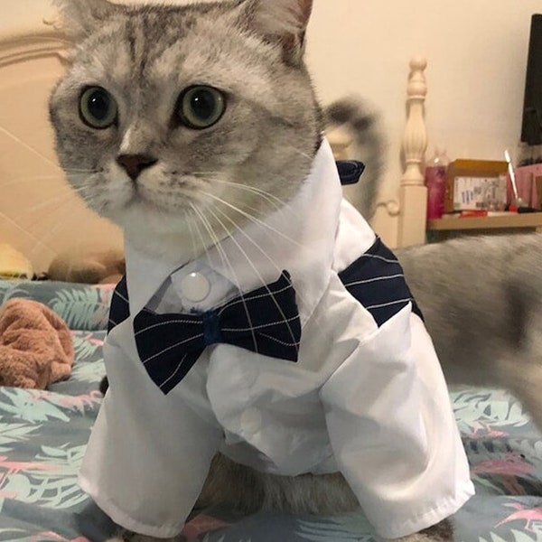 Cat in Suit - Etsy