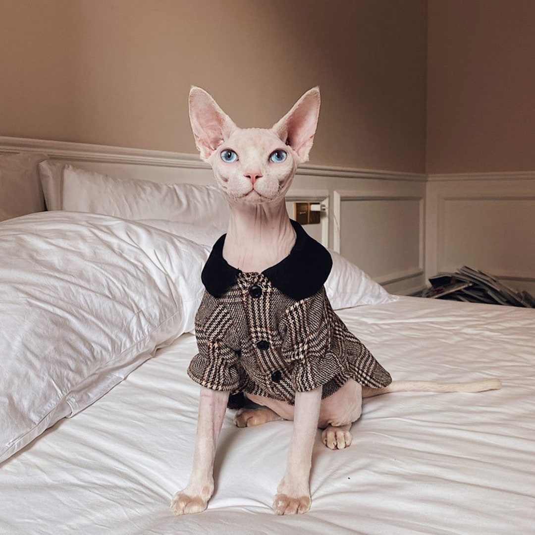 Adorable Sphynx Cat Dress Hairless Cat Clothing British Style - Etsy