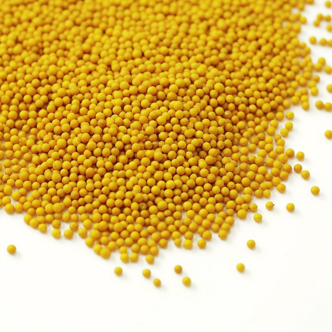 Organic Wasabi Mustard Seeds - Microgreens - Sprouts - Hydroponics ...