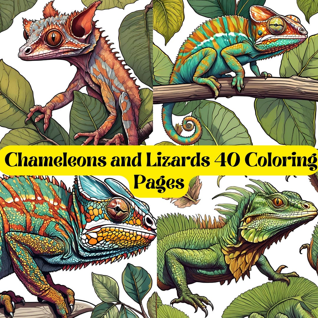 Chameleons and Lizards 40 Coloring Pages PDF, Fun Digital Download for ...