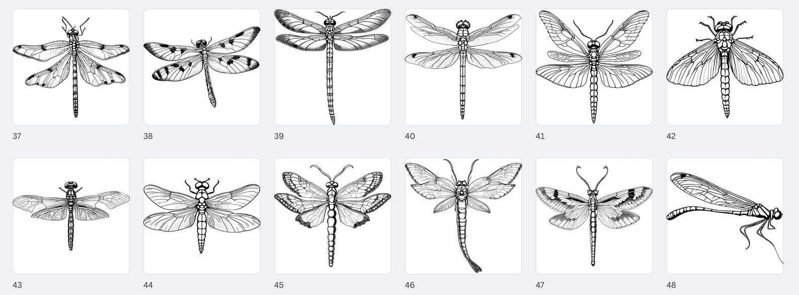 50 Butterflies and Dragonflies Coloring Book for Ipad, Remarkable ...