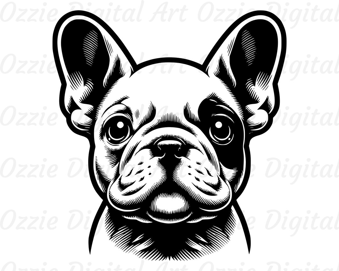 French Bulldog Svg & Png, Dog Clipart, Dog Vector Image, French Bulldog ...