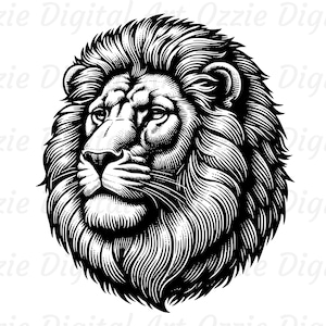 Lion Svg & Png, Lion Clipart, Lion Head Vector Image, Lion Silhouette ...