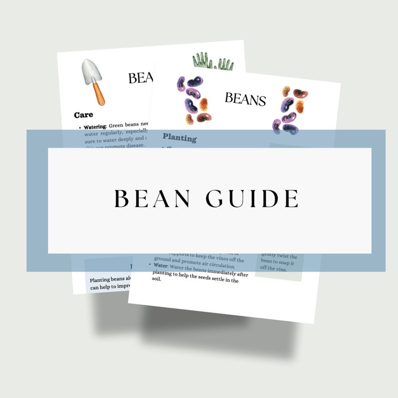 Beans Planting Guide - Etsy