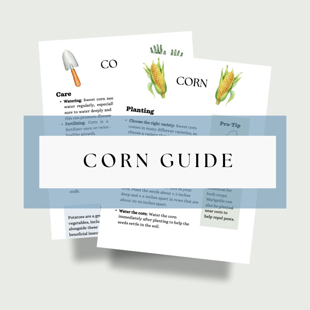 Corn Planting Guide - Etsy