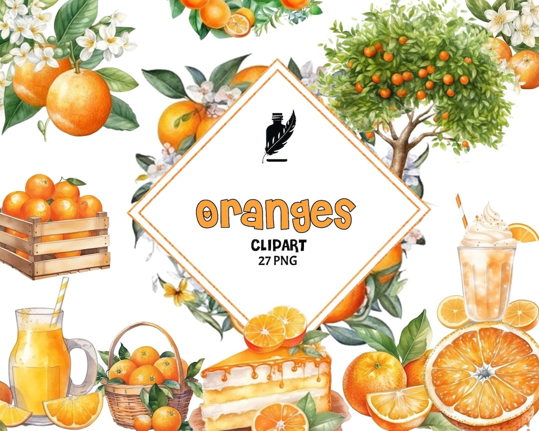 Watercolor Oranges Clipart Tropical Summer Clip Art for - Etsy