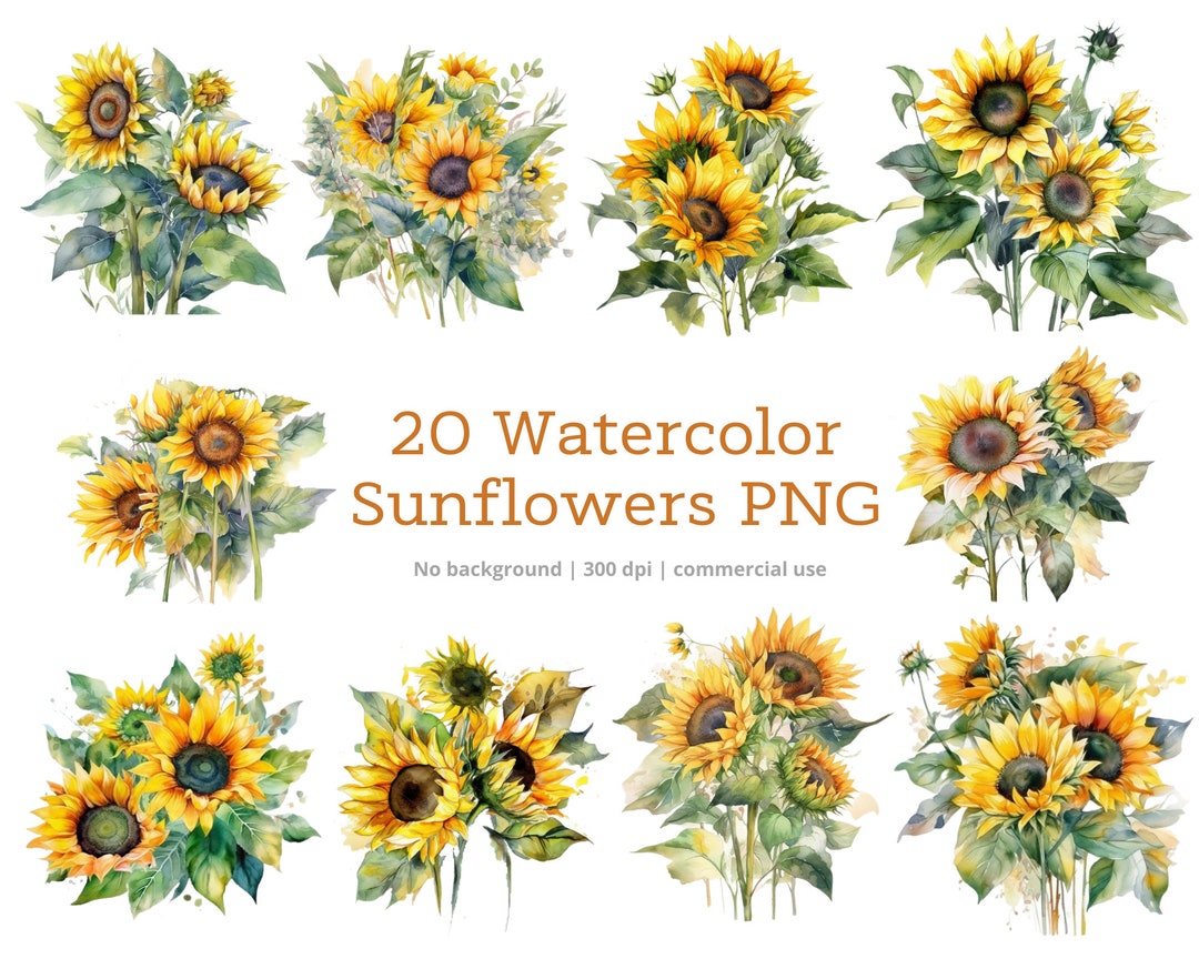 Sunflowers Bouquet PNG Sunflower Svg Watercolor Sunflower - Etsy Canada