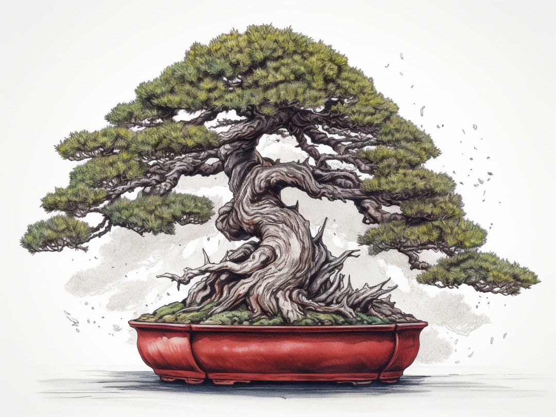 Traditional Bonsai Tree Colored Sketch Digital Art Drawing PNG, JPG ...