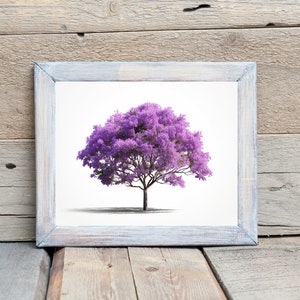 Jacaranda Tree Sketches - Set of 5 Colorful Renditions, High-resolution ...