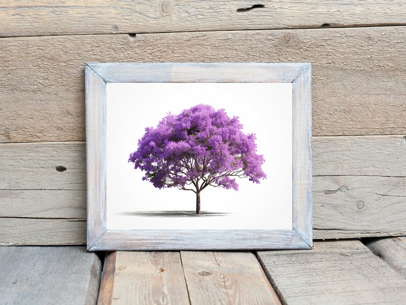 Jacaranda Tree Sketches - Set of 5 Colorful Renditions, High-resolution ...