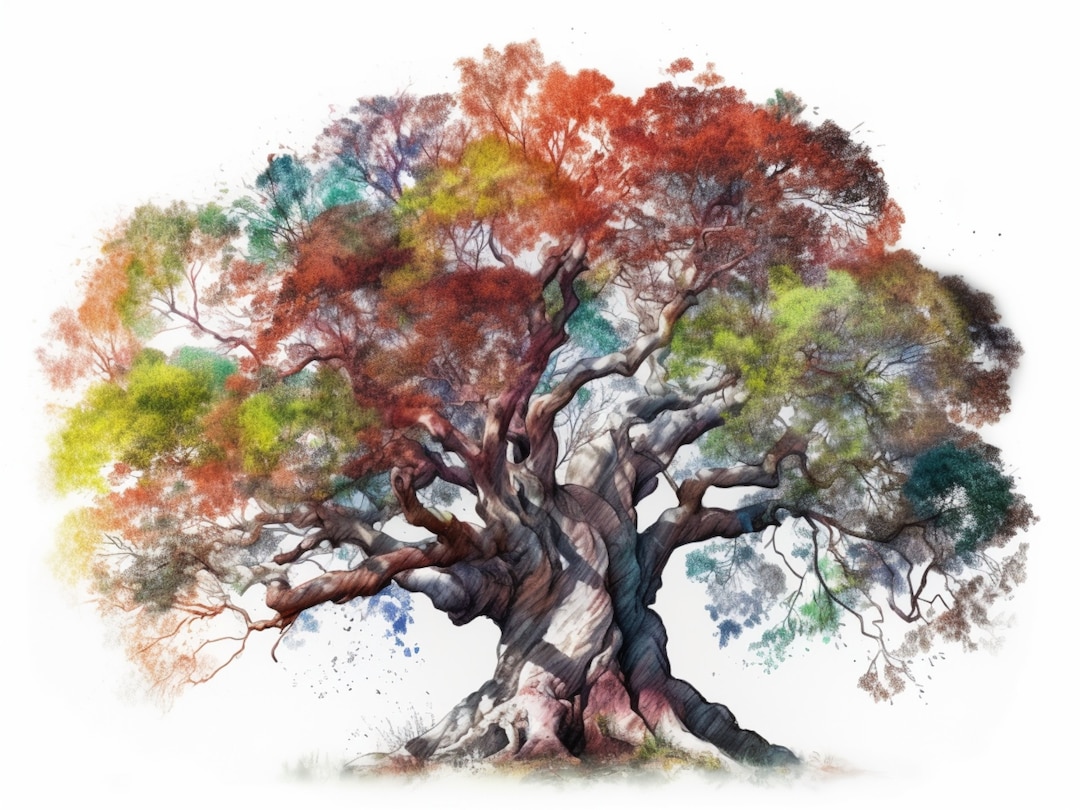 Angel Oak Tree Colored Sketch Digital Art Drawing PNG, JPG, SVG 300dpi ...