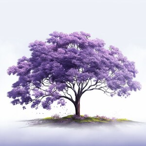 Jacaranda Tree Sketches - Set of 5 Colorful Renditions, High-resolution ...