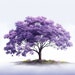 Jacaranda Tree Sketches - Set of 5 Colorful Renditions, High-resolution ...