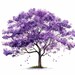 Jacaranda Tree Sketches - Set of 5 Colorful Renditions, High-resolution ...