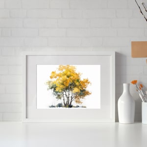Quaking Aspen Tree Colored Sketch Digital Art Drawing PNG, JPG, SVG ...