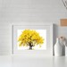 Laburnum Tree Colored Sketch Digital Art Drawing PNG, JPG, SVG 300dpi 4 ...