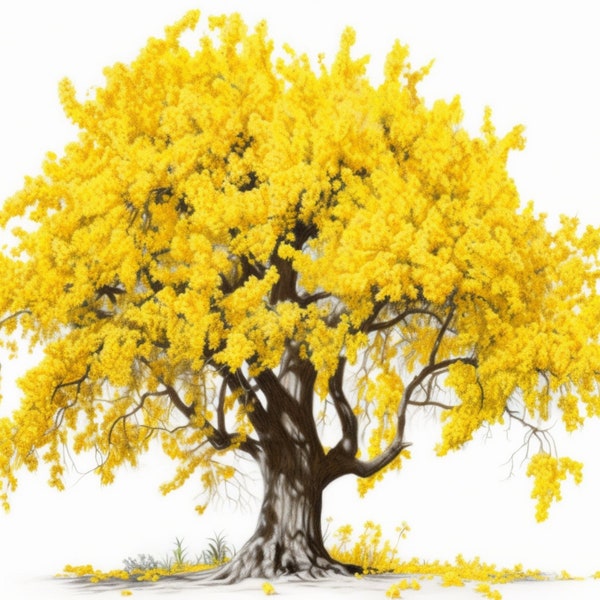 Laburnum Artwork - Etsy