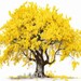 Laburnum Tree Colored Sketch Digital Art Drawing PNG, JPG, SVG 300dpi 4 ...
